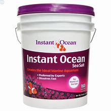 instant ocean salt 160 gallon bucket | Blue Light Aquatics